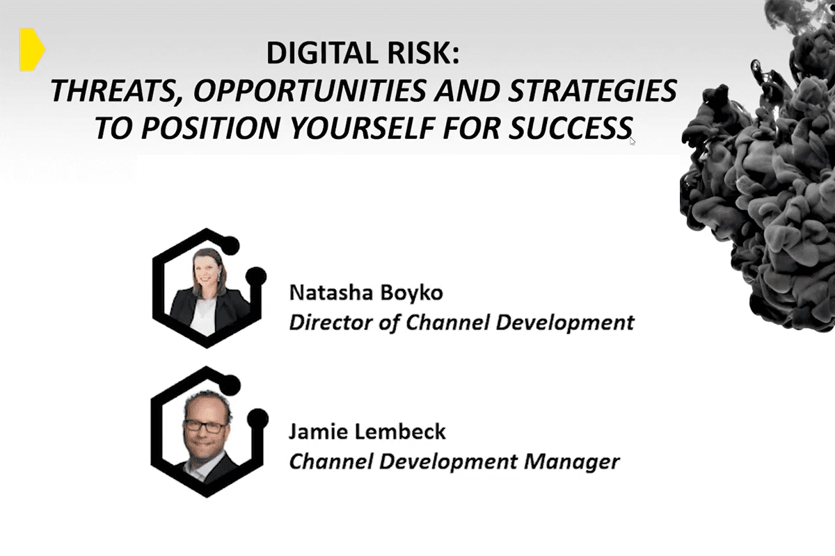 Digital Risk: Threats, Opportunities and Strategies to Position ...