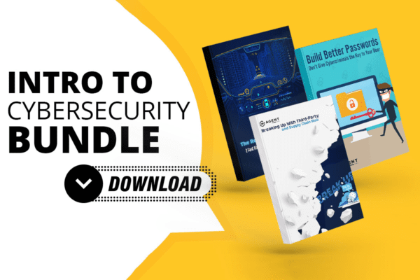 Intro to Cybersecurity Bundle | ID Agent